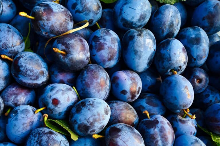 Blaues Obst: 6 gesunde Sorten (mit Bildern) - foodwissen.de