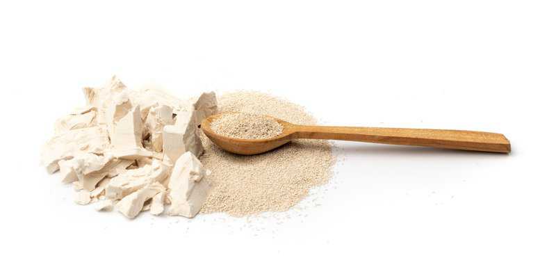 Hefe haltbar machen - die besten Methoden für Trockenhefe & frische Hefe