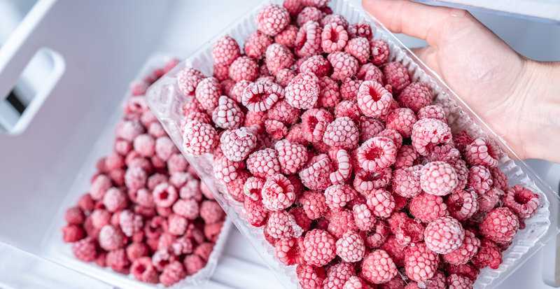 Himbeeren Haltbar Machen