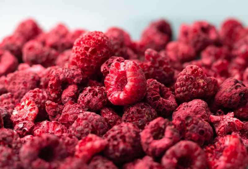 Erstaunlich Himbeeren Haltbar Machen Bilder