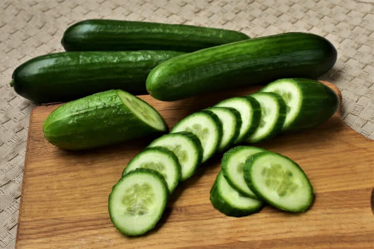 Tipps&Tricks zur Haltbarkeit von Gurken - ist sie schlecht oder abgelaufen?