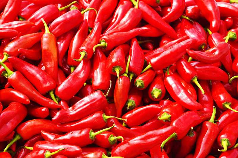 Peperoni einlegen (geniale Tipps & einfaches Rezept) - foodwissen.de