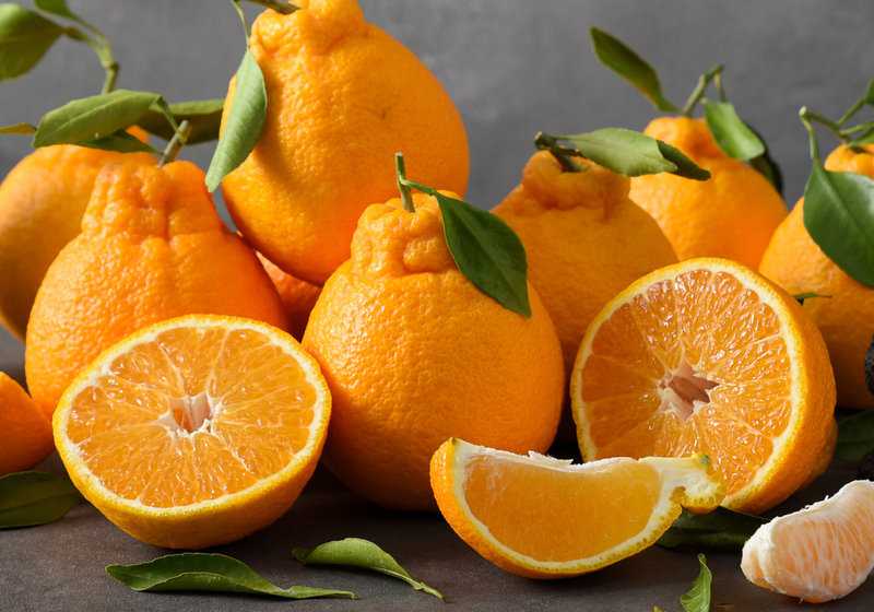 Obst mit D am Anfang (Liste mit vielen Bildern) - foodwissen.de