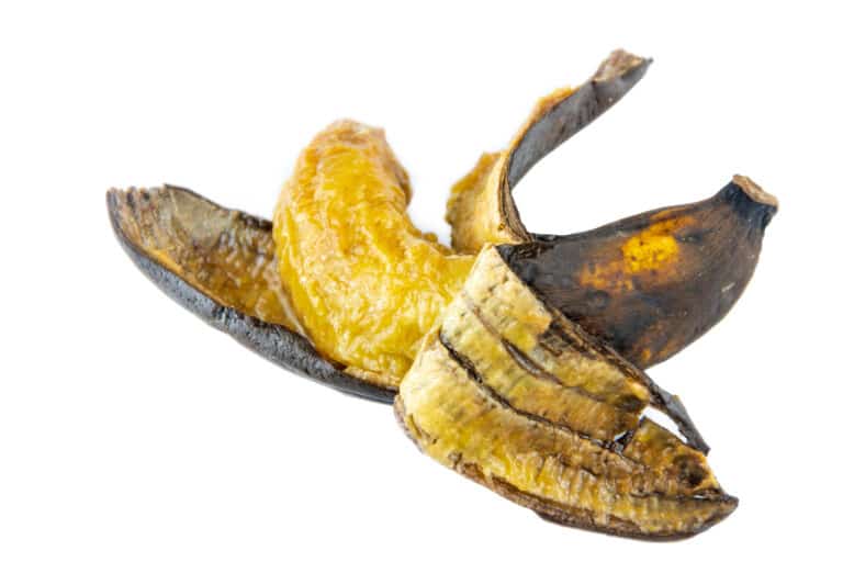 Alles zur Haltbarkeit und richtigen Lagerung von Bananen