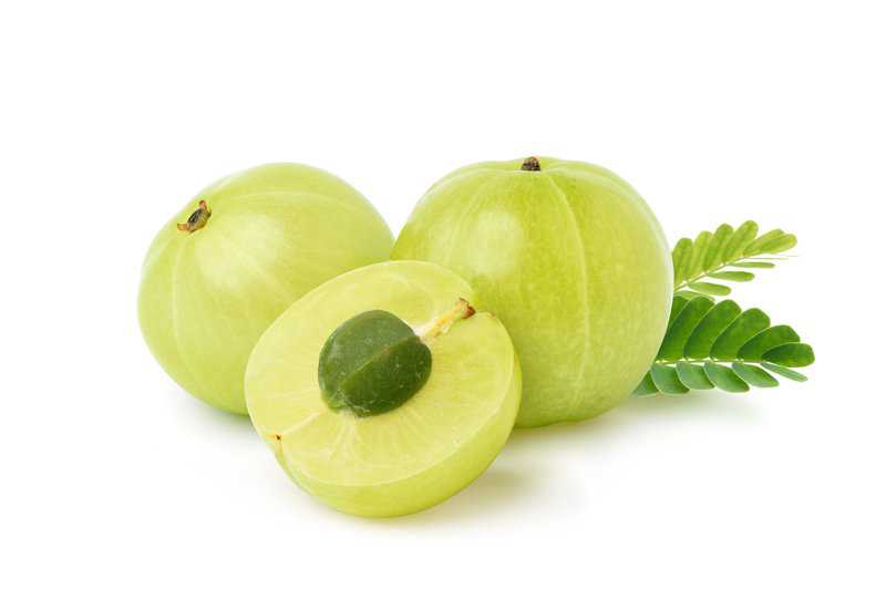 Obst mit I am Anfang (Liste mit vielen Bildern) - foodwissen.de