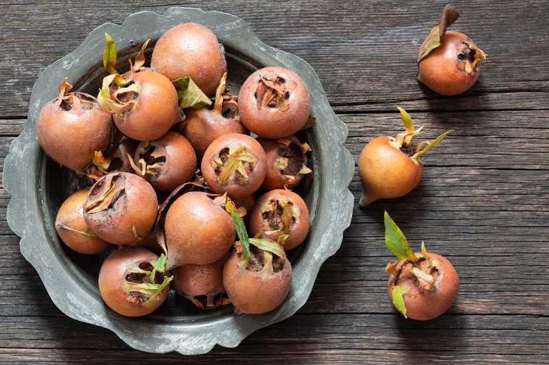 Obst mit M am Anfang (Liste mit vielen Bildern) - foodwissen.de