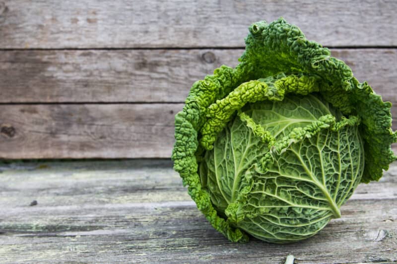 Wirsing einkochen (geniale Tipps & einfaches Rezept) - foodwissen.de