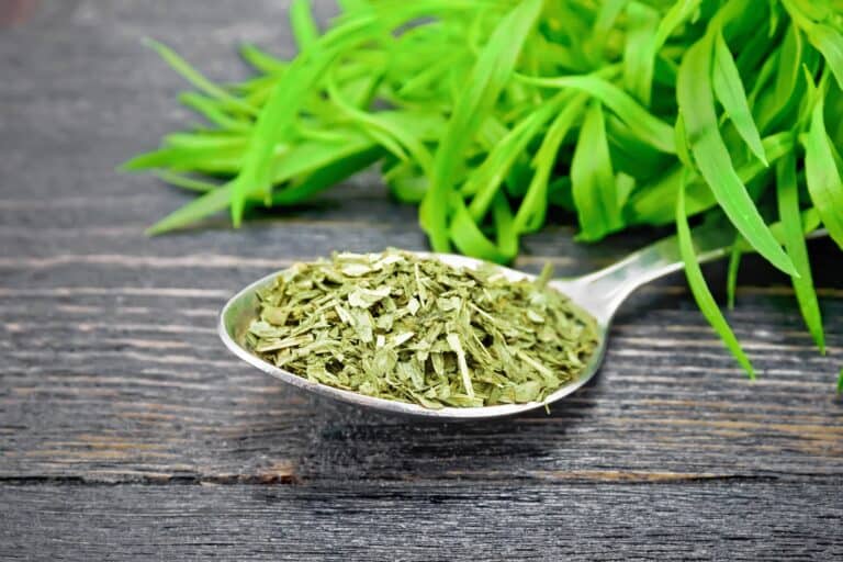 Estragon trocknen - so geht's richtig - foodwissen.de