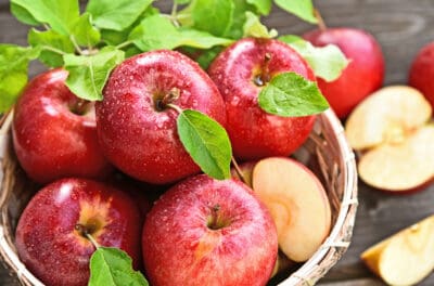 Rote Apfelsorten: Alle 13 Äpfel mit Bildern - foodwissen.de