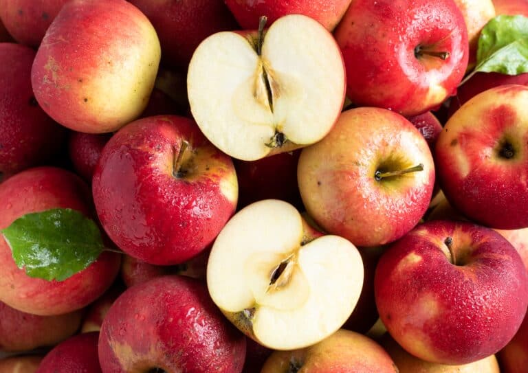 Rote Apfelsorten: Alle 13 Äpfel mit Bildern - foodwissen.de