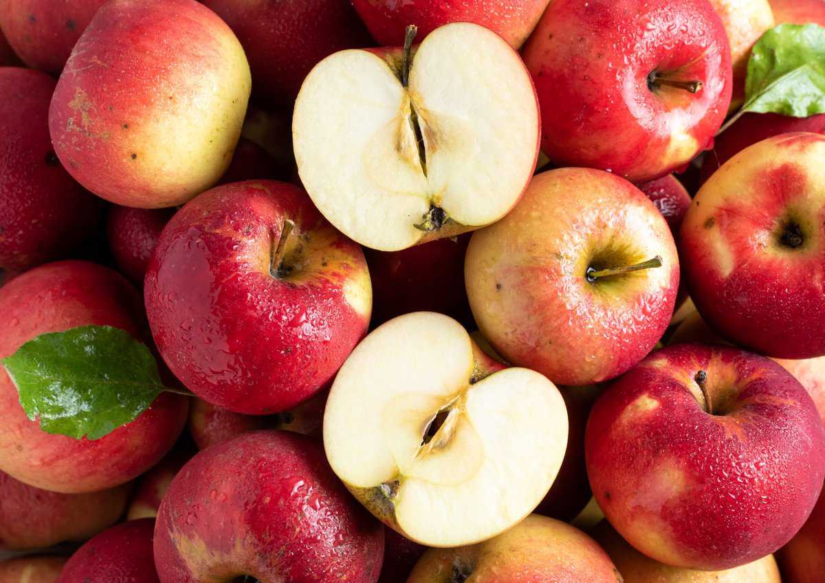 Rote Apfelsorten: Alle 13 Äpfel mit Bildern - foodwissen.de