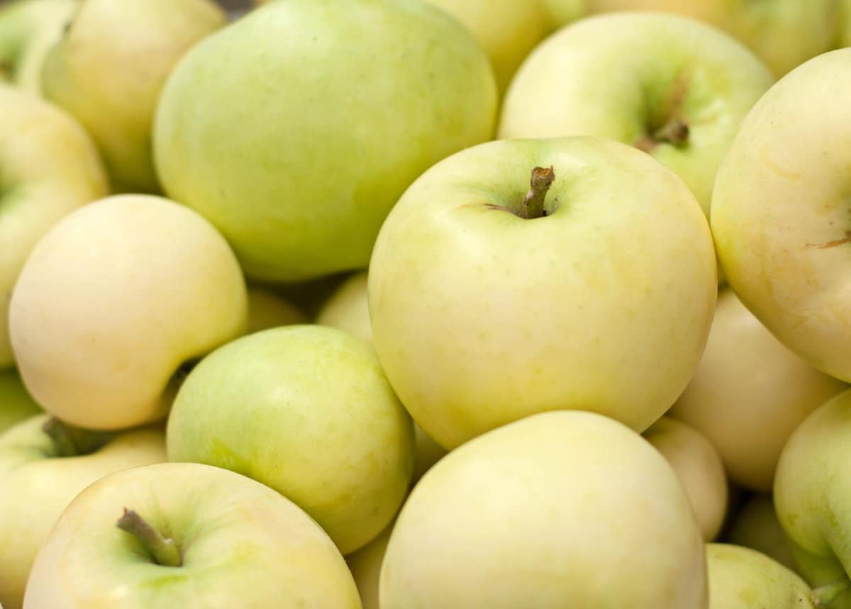 Frühe Apfelsorten: Alle 15 Äpfel mit Bildern - foodwissen.de